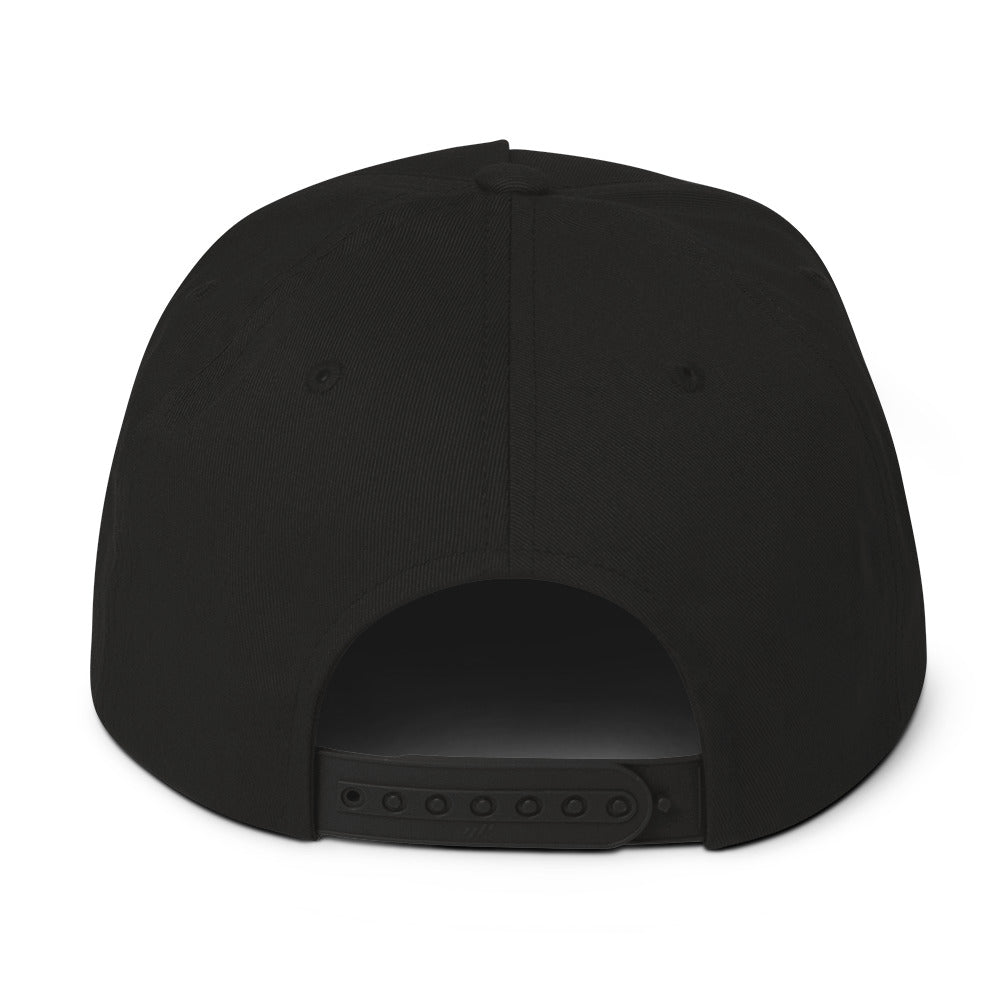 SigEp Retro Snapback Hat – The Sigma Phi Epsilon Store (SigEp)
